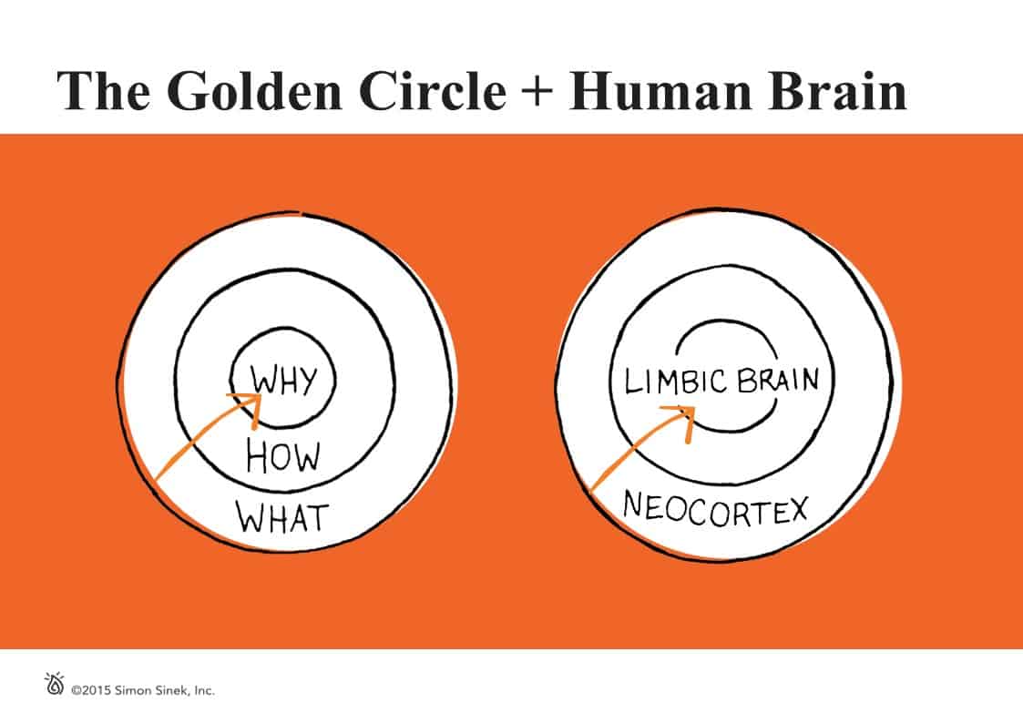 The Golden Circle - Yoga Assets